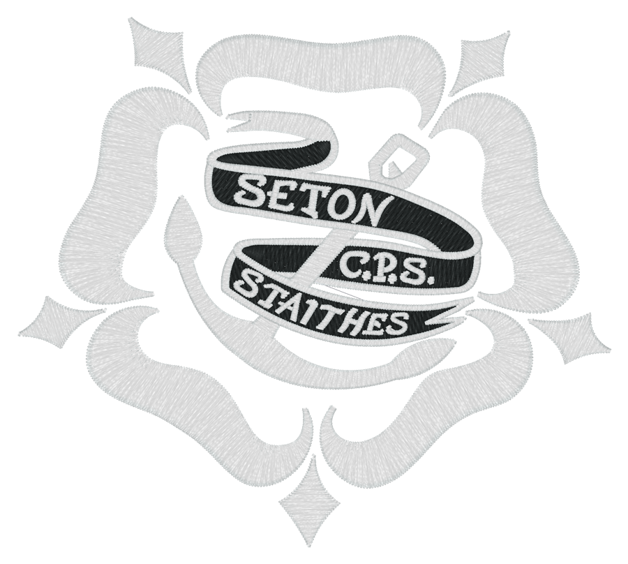 Seton School – Laughing Whale